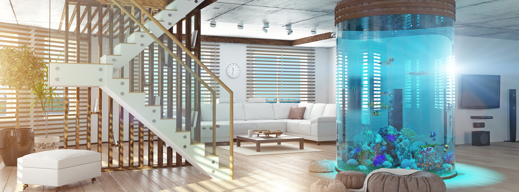Aquarium, Pond, Water Plants and Fish Supplies for Sale
